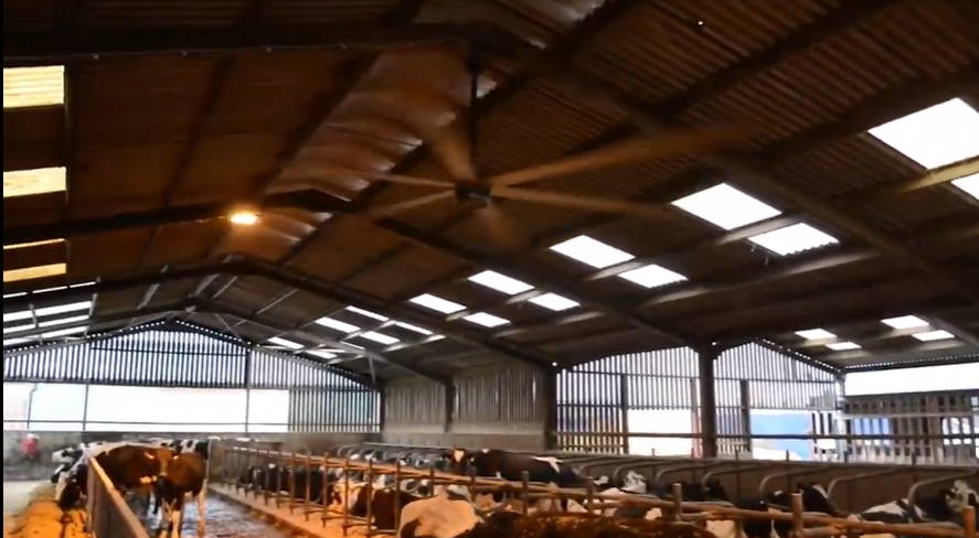 What is HVLS? High-Volume Low-Speed Ceiling Fans – NorTex Sales & Service